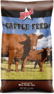 3 Types of Cattle Feed: When to Feed Them and How They Differ | West ...