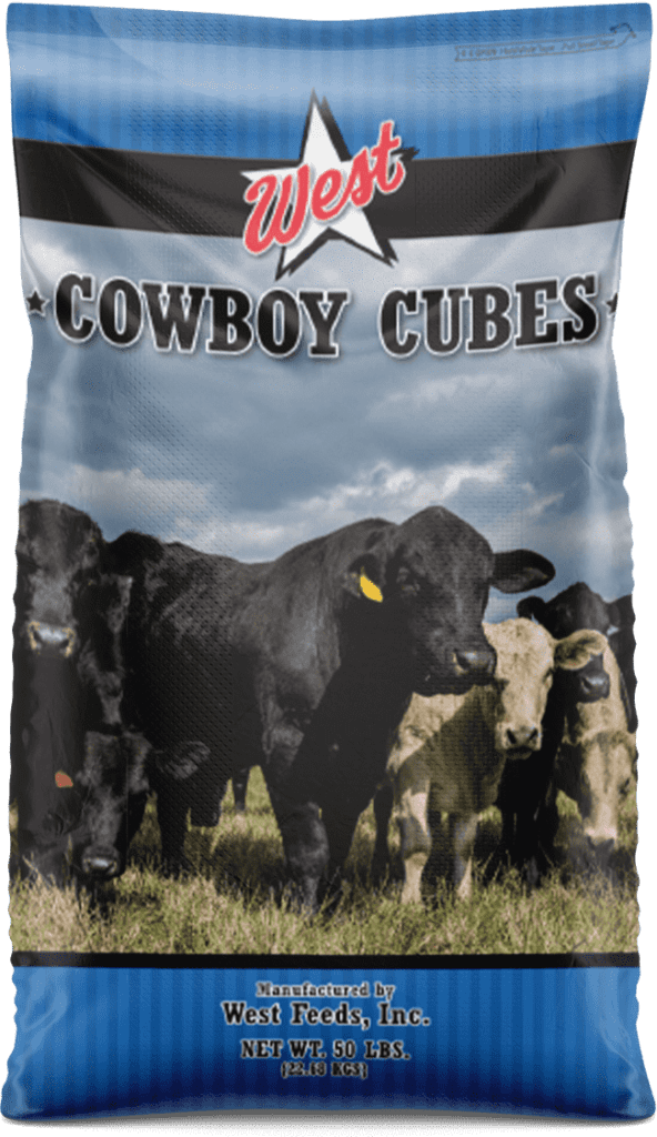 Cattle and Cow Cubes | West Feeds, Inc.