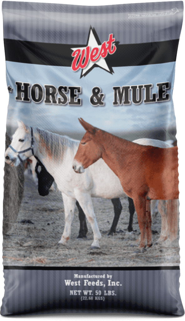 Horse & Mule | West Feeds, Inc.