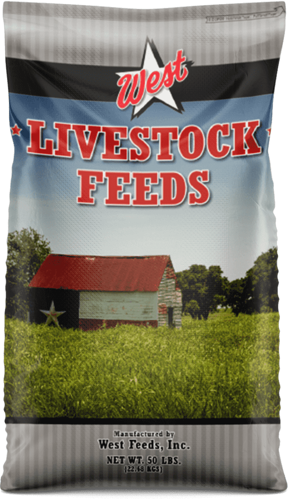 3 Types of Cattle Feed: When to Feed Them and How They Differ | West ...