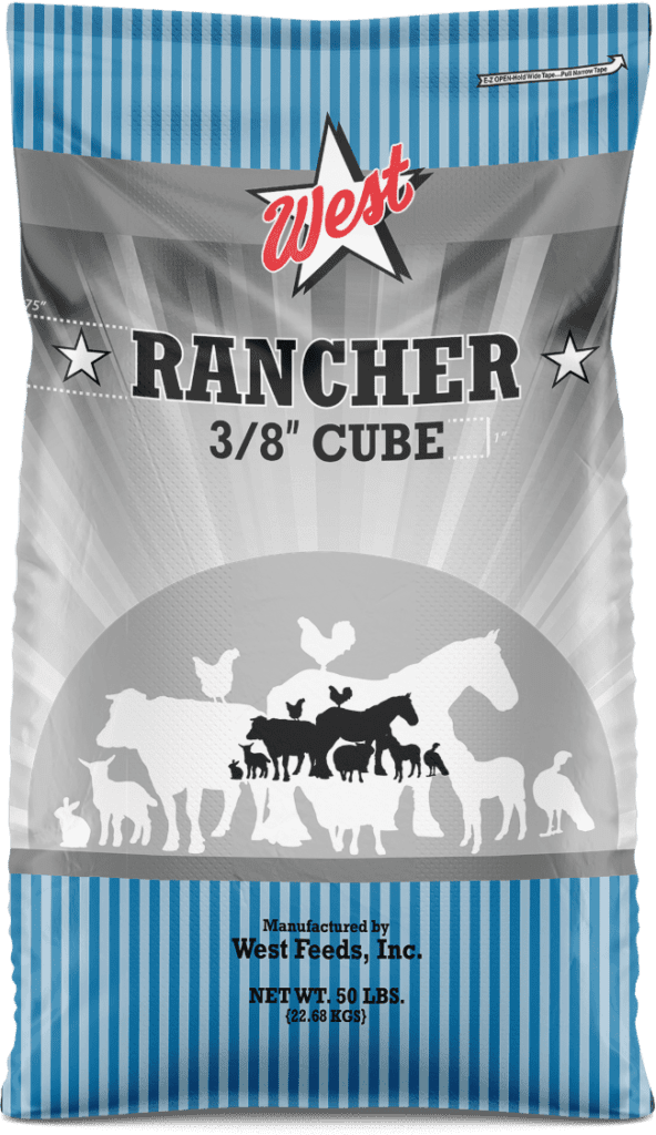 Cattle and Cow Cubes | West Feeds, Inc.