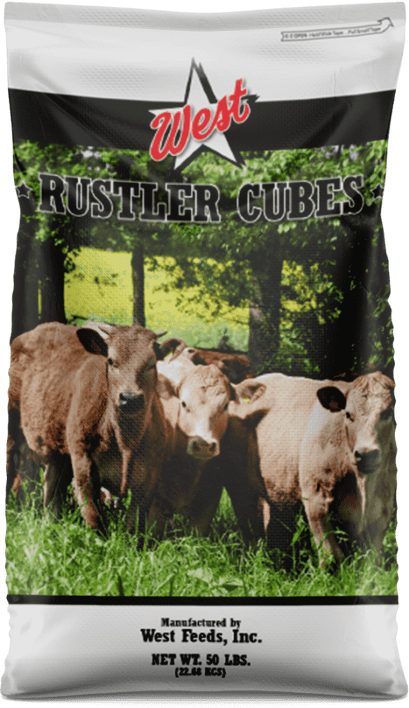 Cattle and Cow Cubes | West Feeds, Inc.